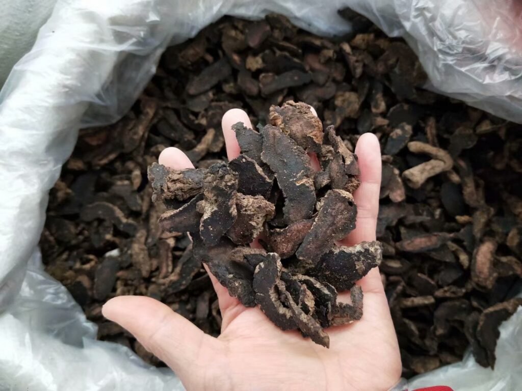 Rehmannia Glutinosa - 500 Gram - Chinese Herb