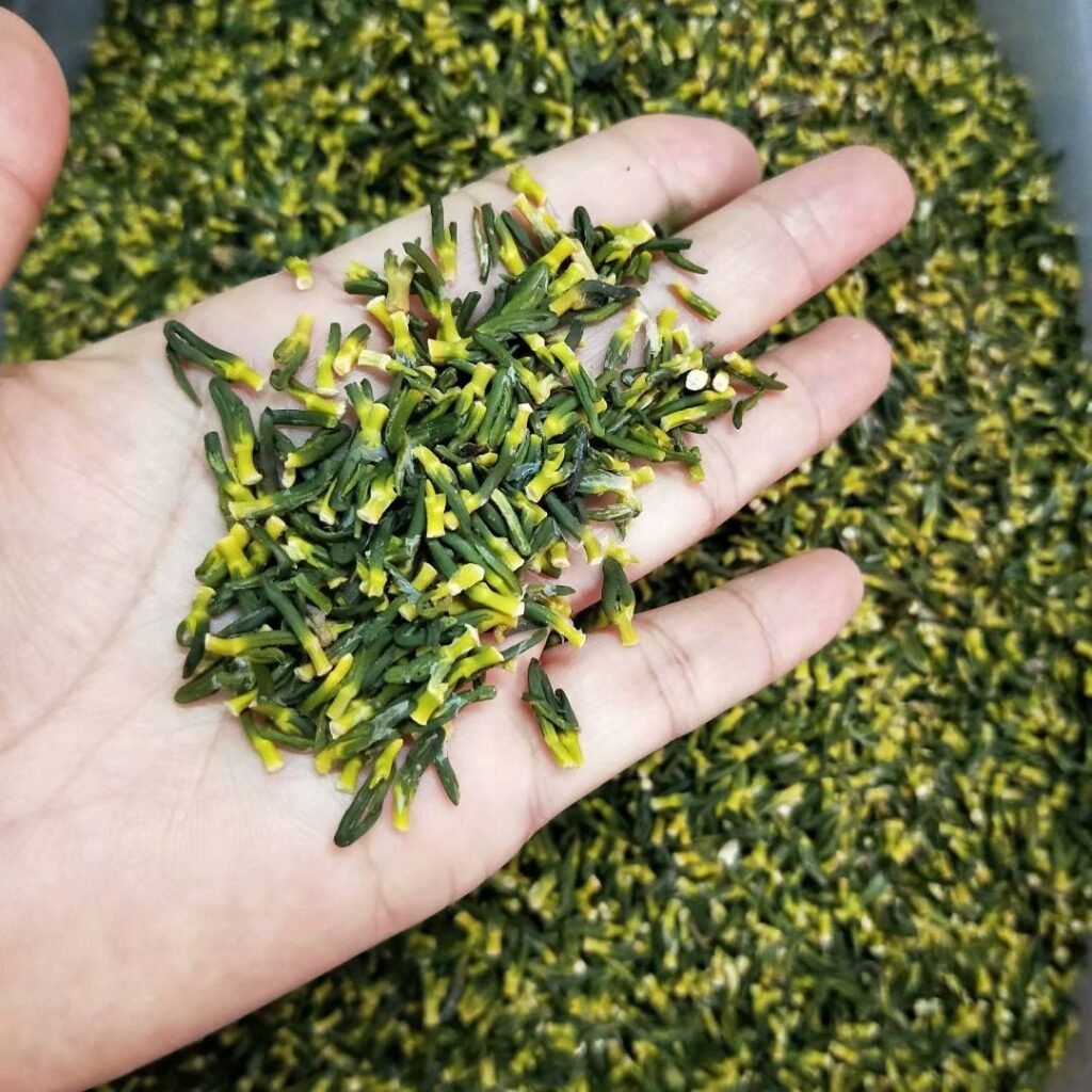 Lotus Seed Heart - 500 Gram - Chinese Herb